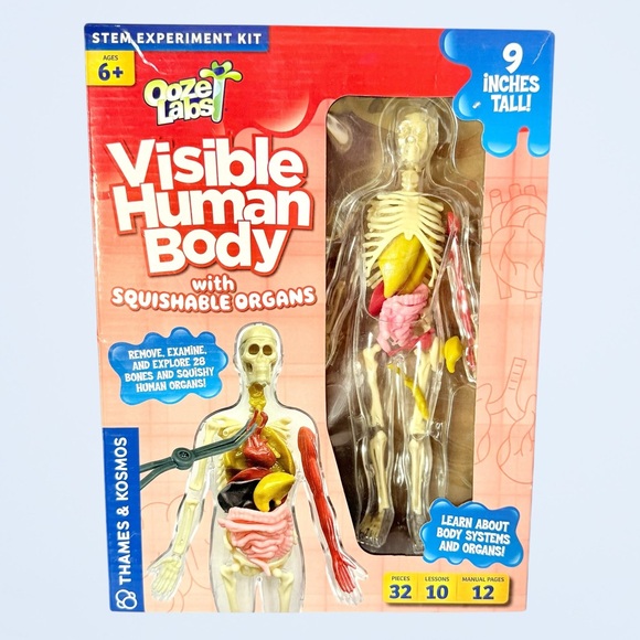 Thames & Kosmos | Toys | Ooze Labs Visible Human Body With Squishable ...